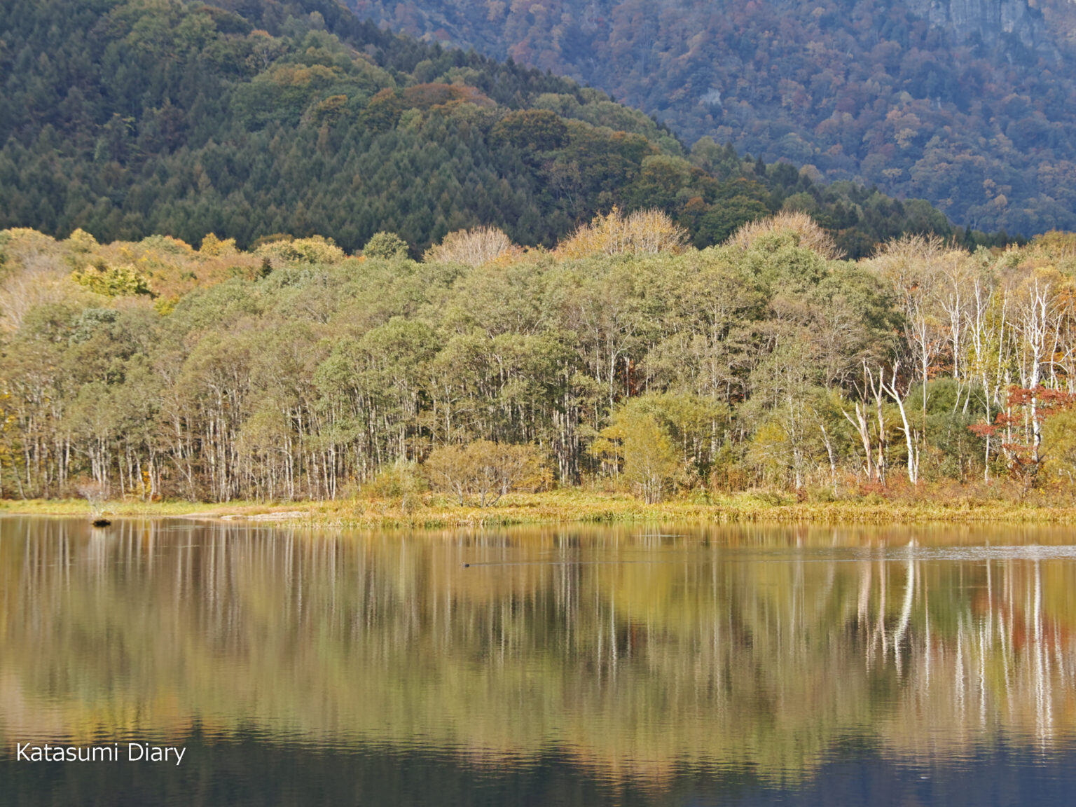 戸隠高原 鏡池の紅葉リフレクション 2025年見頃時期と色づき状況･アクセスと駐車場･交通規制 長野県長野市 | カタスミ日記