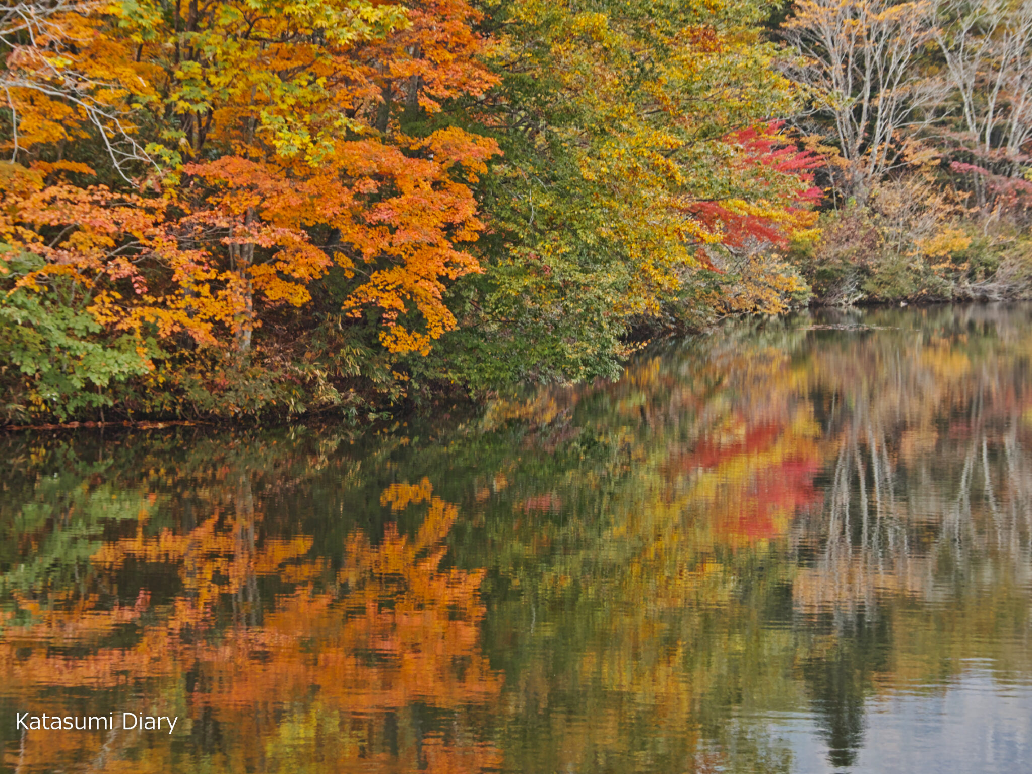 戸隠高原 鏡池の紅葉リフレクション 2025年見頃時期と色づき状況･アクセスと駐車場･交通規制 長野県長野市 | カタスミ日記