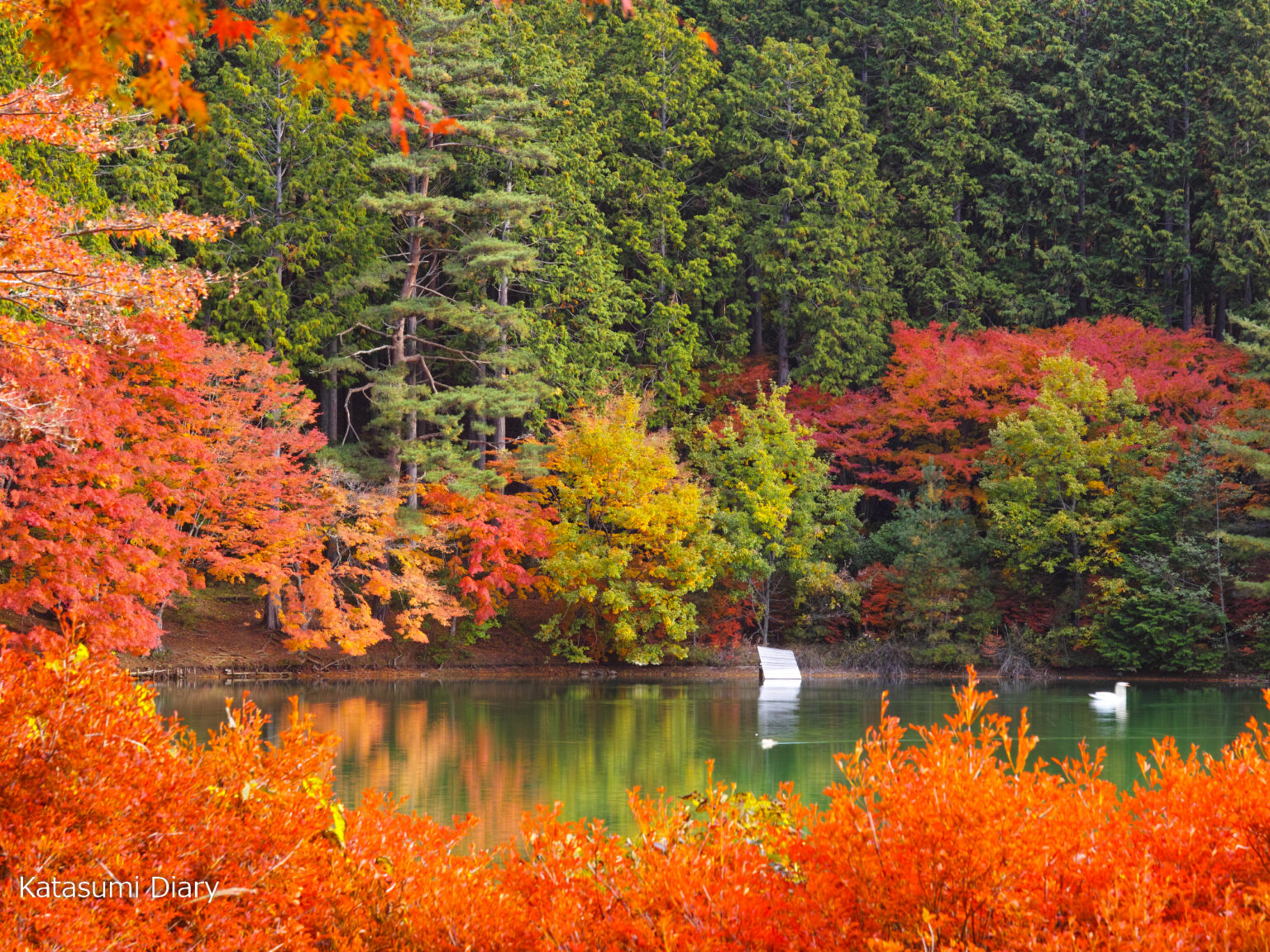 伊奈ヶ湖の紅葉（南伊奈ヶ湖・北伊奈ヶ湖）色鮮やかな紅葉リフレクション 2025年見頃時期と色づき状況･アクセスと駐車場 山梨県南アルプス市 ...